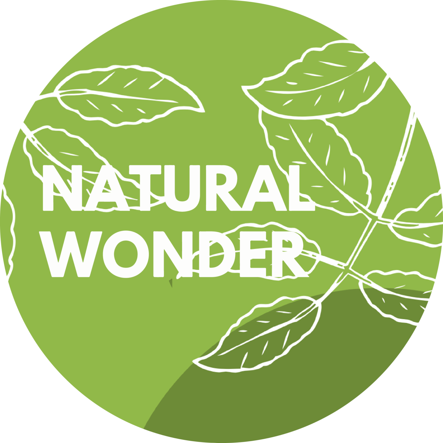 The Natural Wonder Trail – Natural Wonder